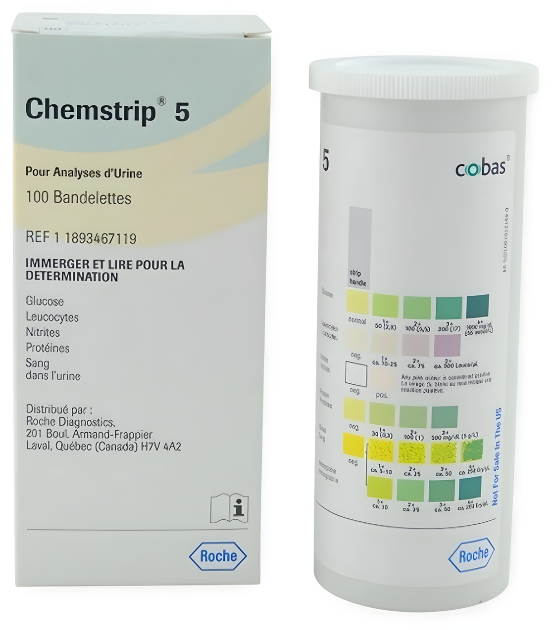 Advanced Chemstrip Urine Test Strips: Precision Diagnostics with Rapid ...